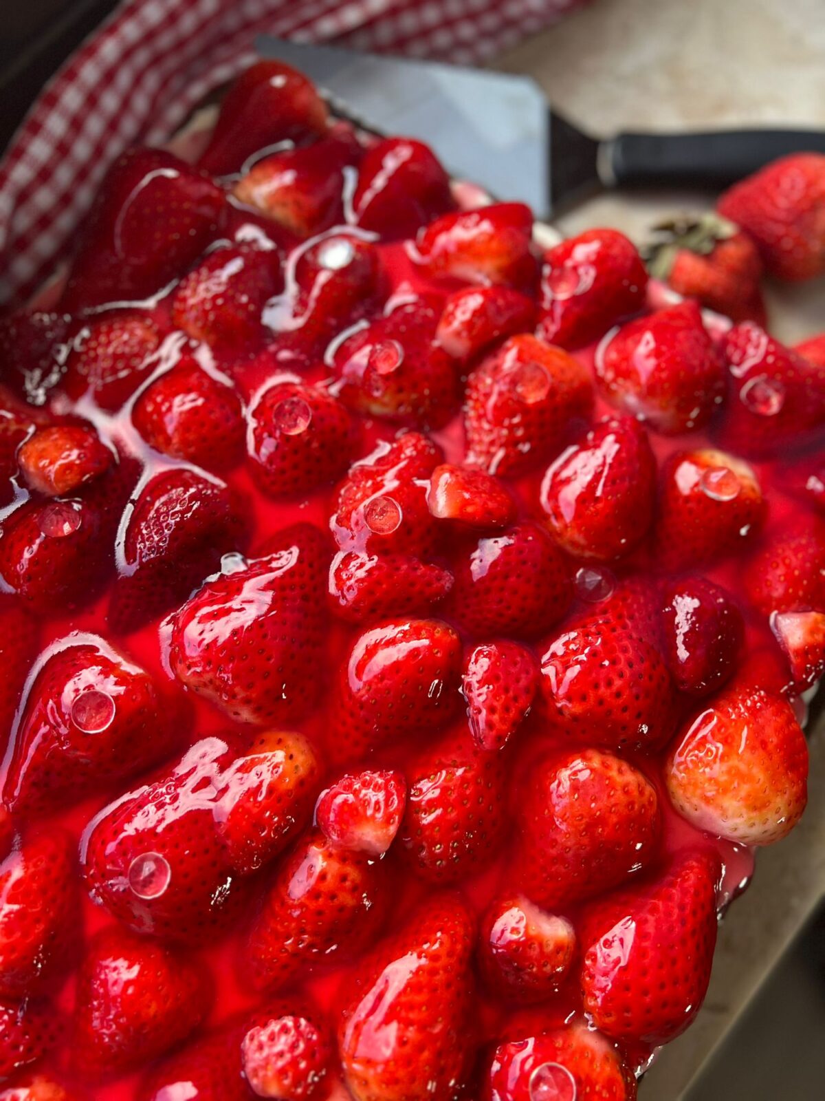 Topfen Erdbeerkuchen Rezept großer Ofenzauberer plus